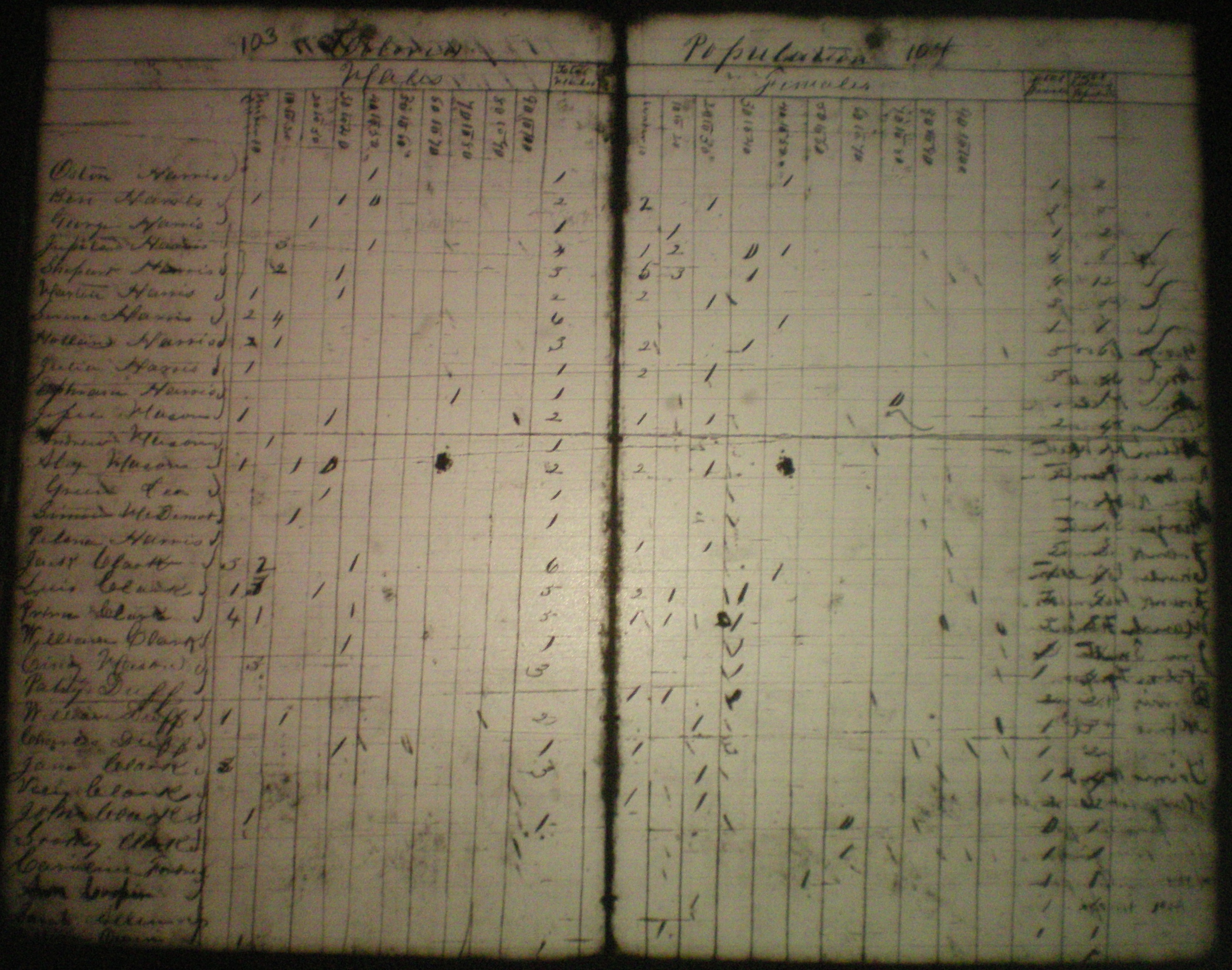 Tracking Your Roots: 1866 State Census-Bibb County, AL
