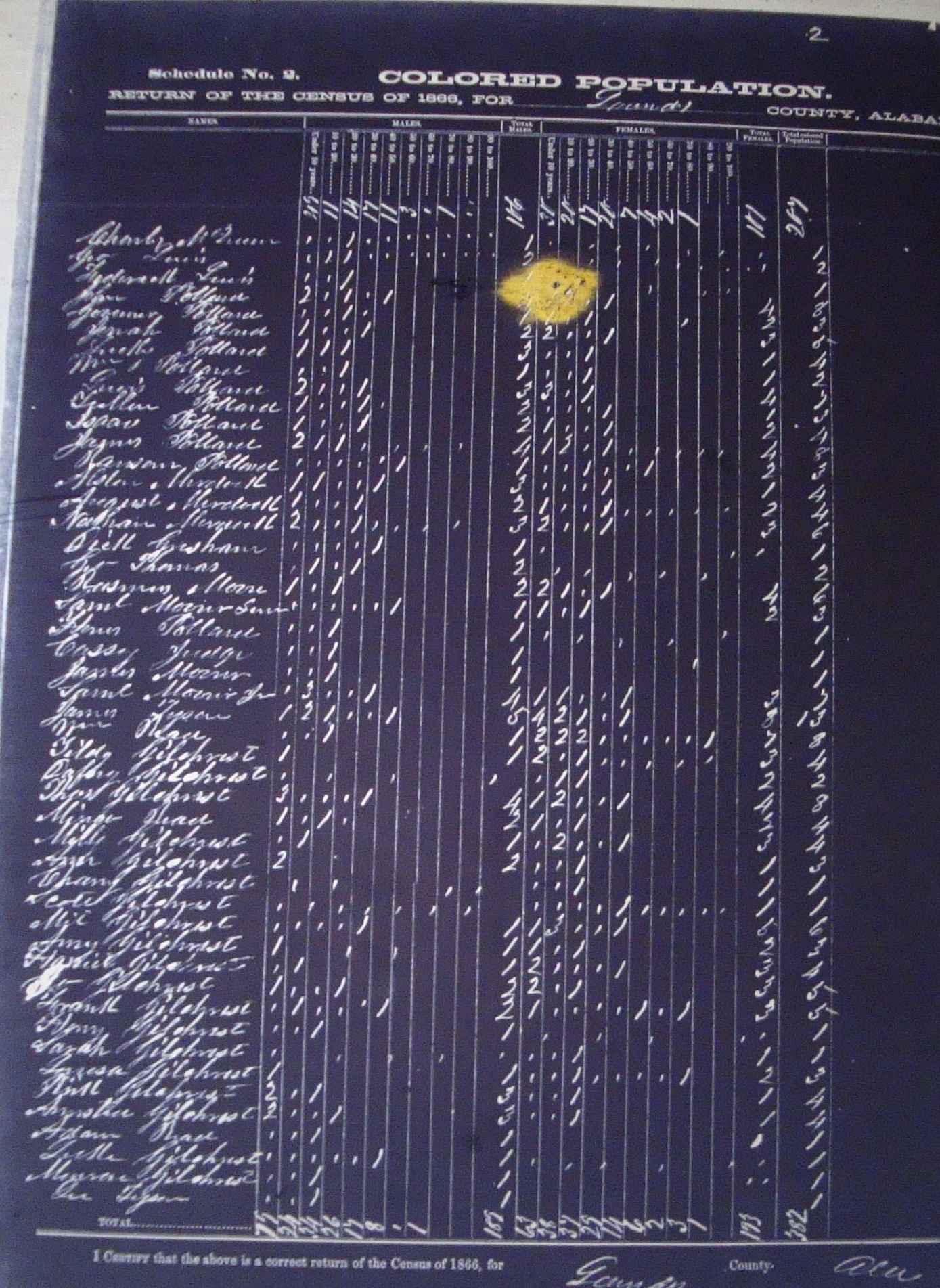 Joseph Haigler's Instagram, Twitter & Facebook on IDCrawl